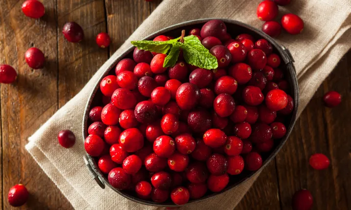 What’s in Season: Cranberries | American Diabetes Association